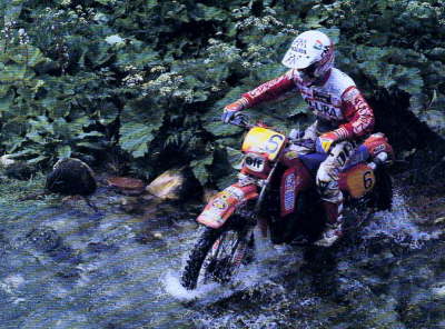 Accossato Aktion Bilder